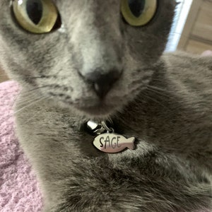 Cat ID tag with Cat Name Tag ID Tag for Cats Stainless | Etsy