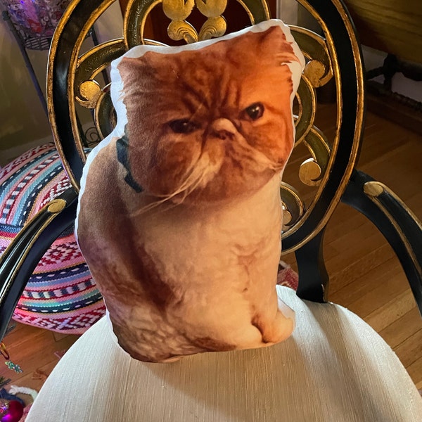 Flash Sale Personalized 3D Throw Face Pillow Customized Soft Face ...