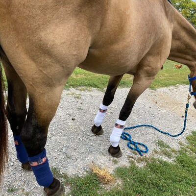 Sheep Leg Wraps Goat Leg Wraps Mini Horse Leg Wraps Serape - Etsy