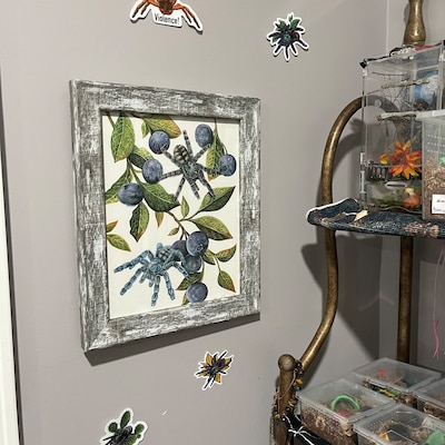 Velvet Spider Sticker 3.5 Inch Glossy Sticker Ladybird - Etsy