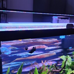 Hygger Advanced LED HG016 HG999 & HG978 Light Riser Set 4 - Etsy Canada