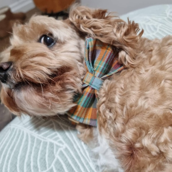 Custom Tartan Personalized Dog Collar, Matching Dog Bowtie, Dog Leash ...