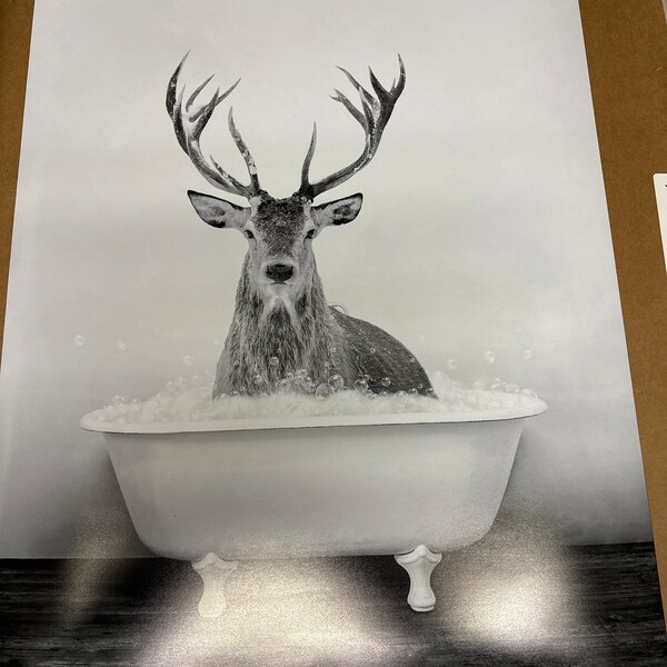 Deer in a Vintage Bathtub, Rustic Bath Style in Black and White, Deer ...