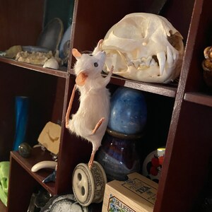 Hanging Mouse - Etsy UK