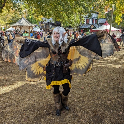 Acherontia Moth Wings Butterfly Cape Death's Head Moth Cloak Brown and ...