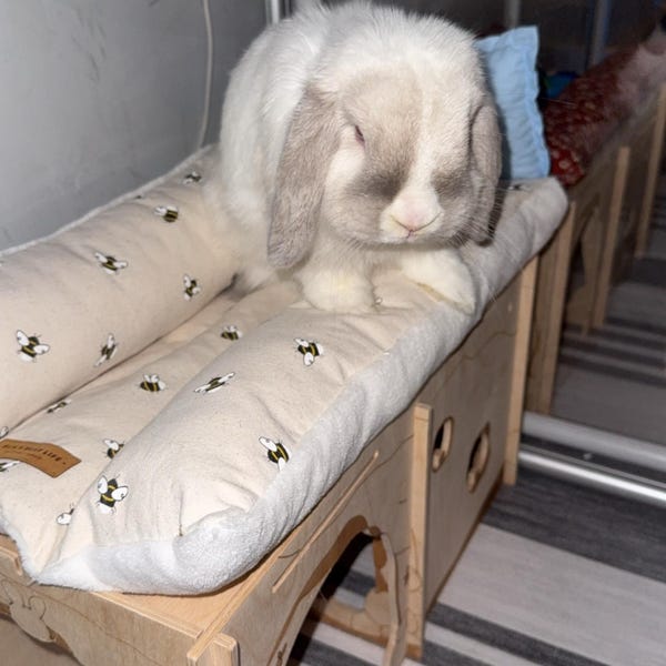 DIGITAL DOWNLOAD PLANS for Luxury Bunny Cubby | Rabbit Cat Home Base ...