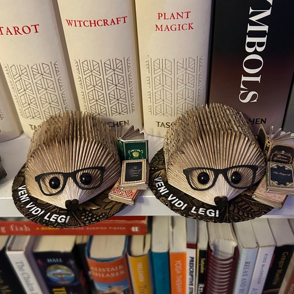 Small Personalised Library Hedgehog / Teacher’s Gift - Etsy UK