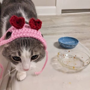 Crochet Pattern: Valentines Day Heart Headband for Cats With Ear Holes ...