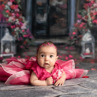 Baby Tutu Headband Set, Swarovski Band, Bow Tutu, Feather Headband ...