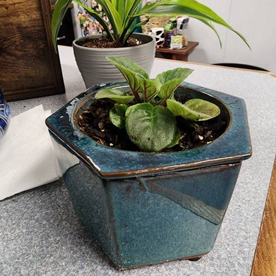 Self Watering Hexagon Shape Ceramic Pot, African Violet Pot, Succulent ...