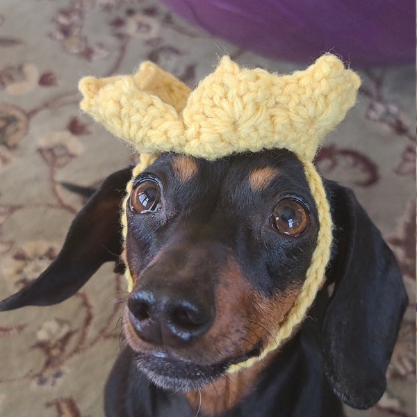Crochet Pattern 059 - Crown for Cat, Crown for Small Dog, Pet Costumes ...