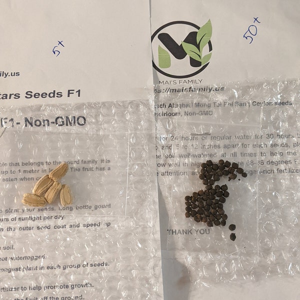 Long Bottle Gourd Stars Seeds F1 - Viet Nam- Bầu Sao Lai F1- Non-gmo - Etsy