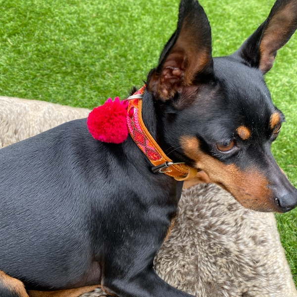 SMALL Mexican Pet Collar - Leather Dog Collar, Tribal Dog Dollar ...