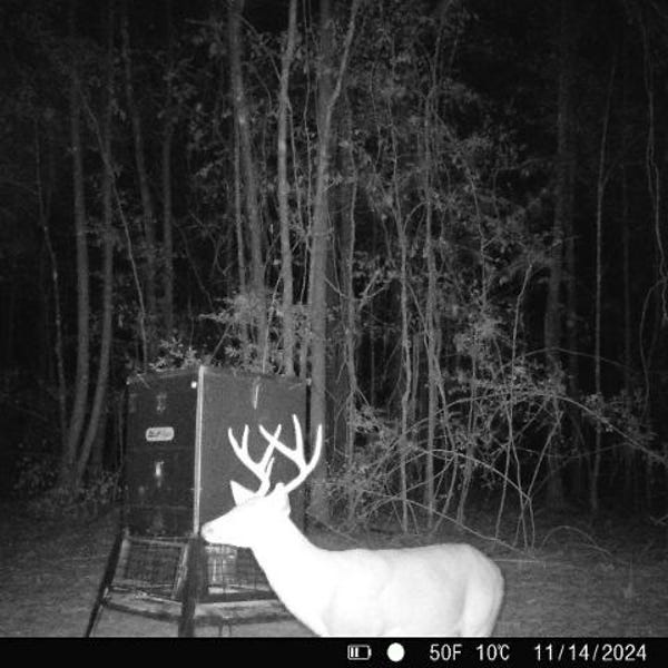 Gore-tex Best Defense DCU / Desert Night Camo Reversible Jacket Parka ...