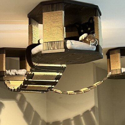 Multipurpose Furniture for Cats, Geometric Side Table Cat Cave ...