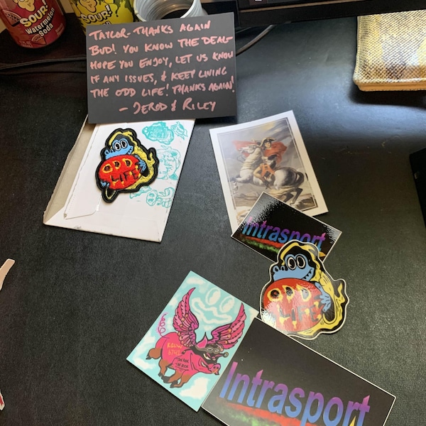 Stupid Lisa Sticker - King Gizzard and the Lizard Wizard Sticker - Etsy