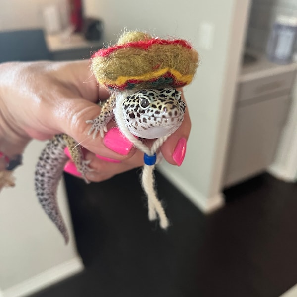 Leopard Gecko and Other Lizard Hats - Etsy