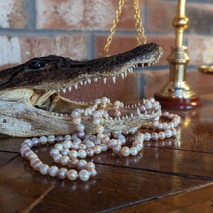 ALLIGATOR BONE DUST Voodoo, Hoodoo, Wicca, Gothic, Oddity - Etsy