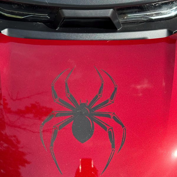 Celtic Spider Decal, Spyder Decal, Laptop Decal, Bumper Sticker - Etsy