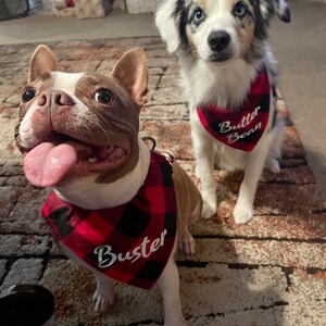 Custom Vet Tech Fanny Pack Vet Tech Tool Belt Vet Tech - Etsy