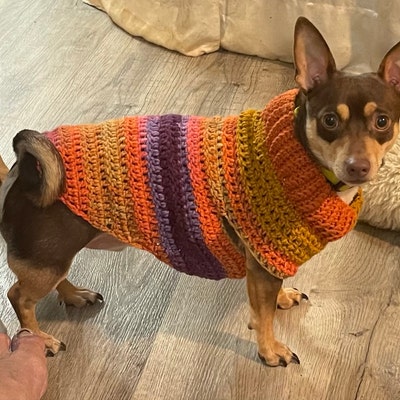 Ledger Sweater CROCHET Pattern Beginner Friendly Sweater for Dogs in 5 ...