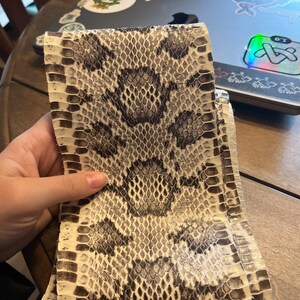 Cobra Snake Skin Hide Snakeskin Craft Supply Python Print - Etsy