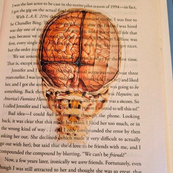 Sew-on Patch Red Gothic Cathedral Church Victorian Window Flying Bats ...