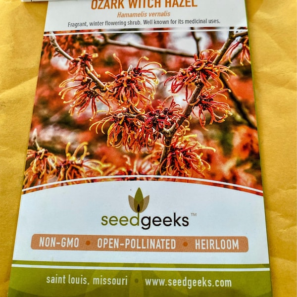 Ozark Witch Hazel Seeds - Heirloom Seeds, Hamamelis Vernalis, Flowering ...