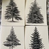 Pine Tree Note Card Set of 10 in White or Light Ivory With Matching ...