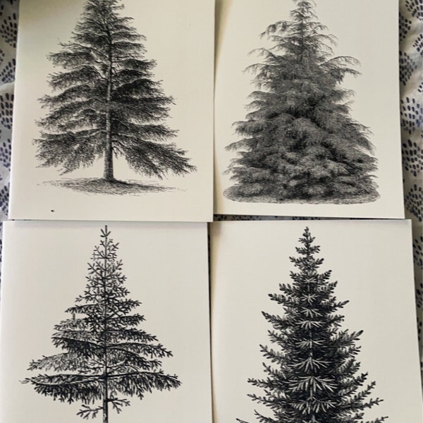 Pine Tree Note Card Set of 10 in White or Light Ivory With Matching ...
