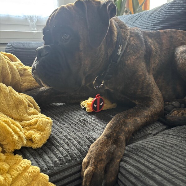 Cyberpunk Techwear, Darkwear Patch V1.1 / Tag / Futuristic Fashion and ...