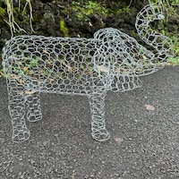 Butterfly Topiary Frames - Etsy Canada