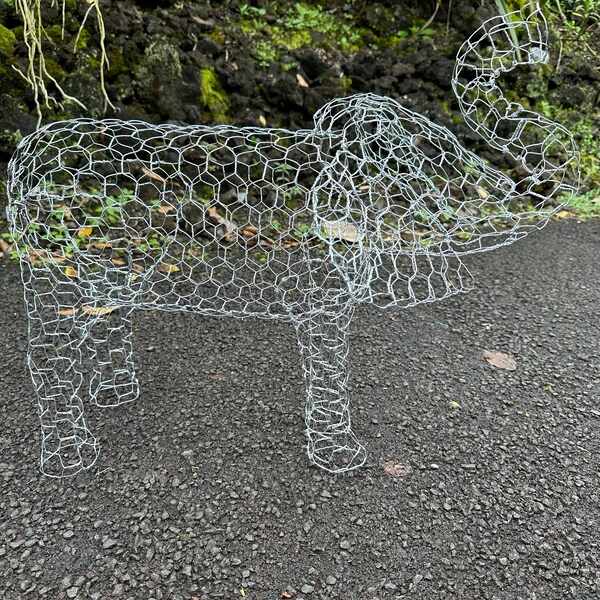 Boxer Topiary Frame - Etsy