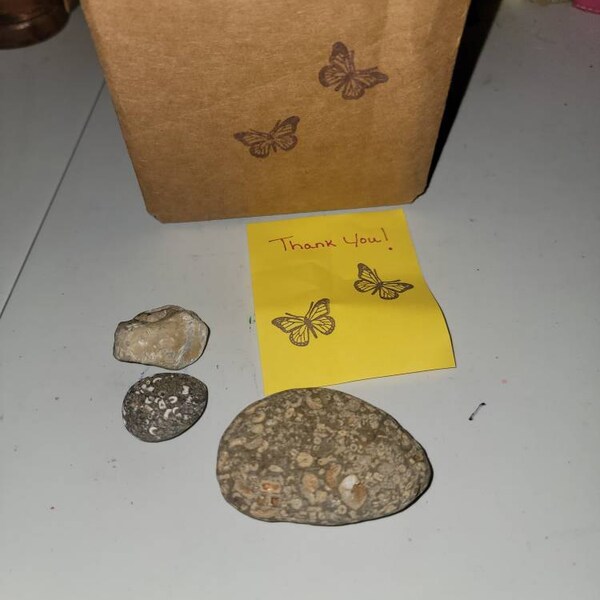 Michigan Amygdaloidal Basalt & Rhyolite Rocks, Space Stones, Michigan ...