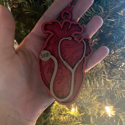 Anatomical Heart Christmas Ornaments Cardiology cardiologist Ornament ...