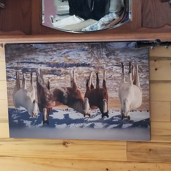 Front Range, Agriculture Photo, Crops, Corn Row, Farm Photo, Wall Art ...