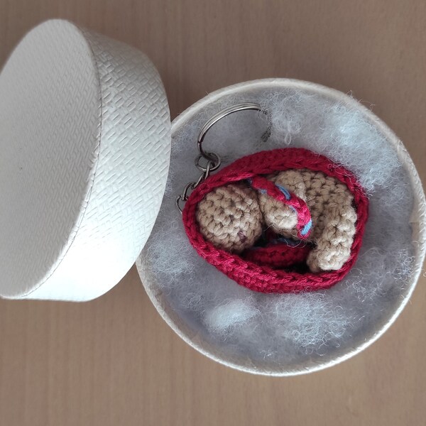 Vulve Crochet Pattern, Vulve-vagin Au Crochet Pattern, L'éducation ...