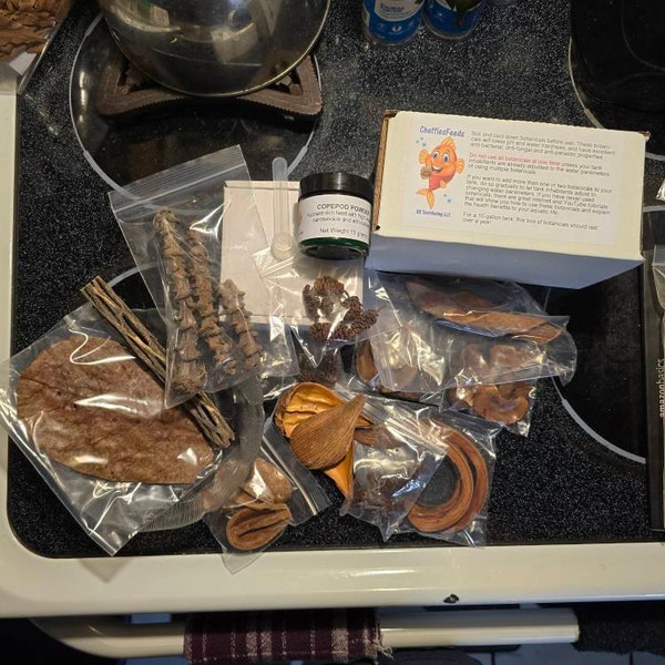 LOTUS POD LOT Natural Botanical Dried Seed Pods for Crafting, Potpourri ...