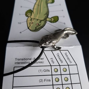 Human Stomach Keychain Anatomy Locket Keychain or Necklace - Etsy