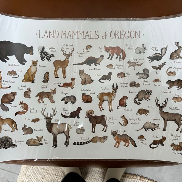Oregon Land Mammals Field Guide Art Print / Animals of Oregon ...