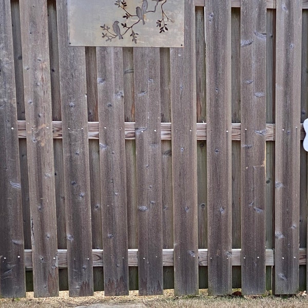 Birds Metal Privacy Screen | Branches & Leaves Metal Wall Art, Bird ...