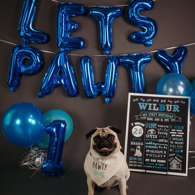 Dog Birthday Chalkboard Sign First Puppy Birthday Banner 1st - Etsy