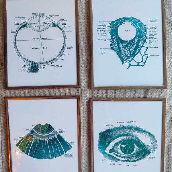 Esthetician Skin Anatomy Art Foil Print Set of 3 - Dermatologist Gift ...