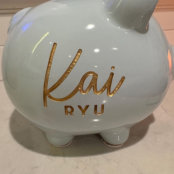 Design Your Own Piggy Bank With Engraving, Sandblasted Blue Pink or ...