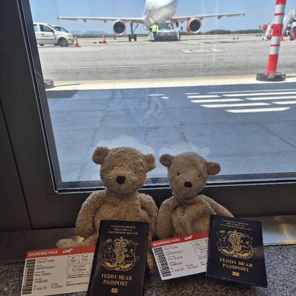 American Teddy Bear Passport - Personalised Passport for American ...