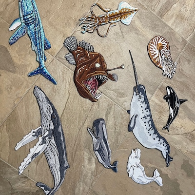 Chambered Nautilus Nautilus Pompilius Iron on Patch or Sew on - Etsy