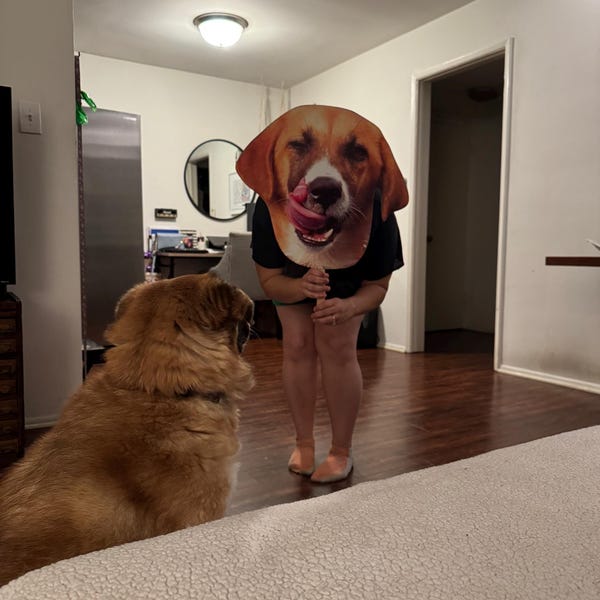 Custom Heads on a Garland Face on Banner Custom Birthday Wall Hang ...