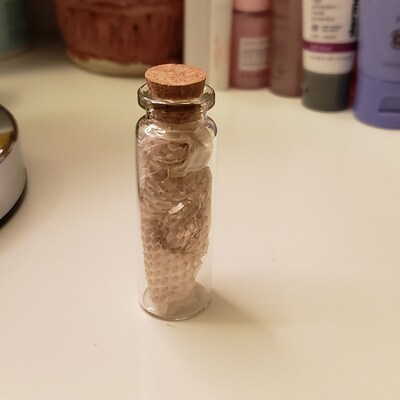 Real Bobcat Toe Bone Curiosity Jar Bone Terrarium Oddity Jar - Etsy