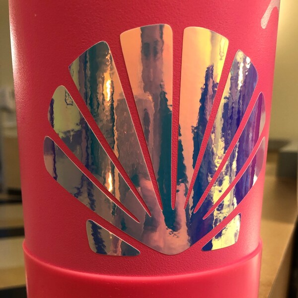 Seashell Decal, Seashells, Iridescent Shell Decal, Iridescent Seashell ...