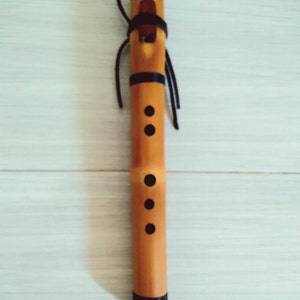 Dragon Skin Native American Style Bamboo Flute in the Key of C. Ethnic ...